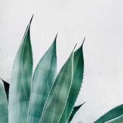 Lady Alopecia | Adventures in Hair Loss | Welcome to Lady Alopecia